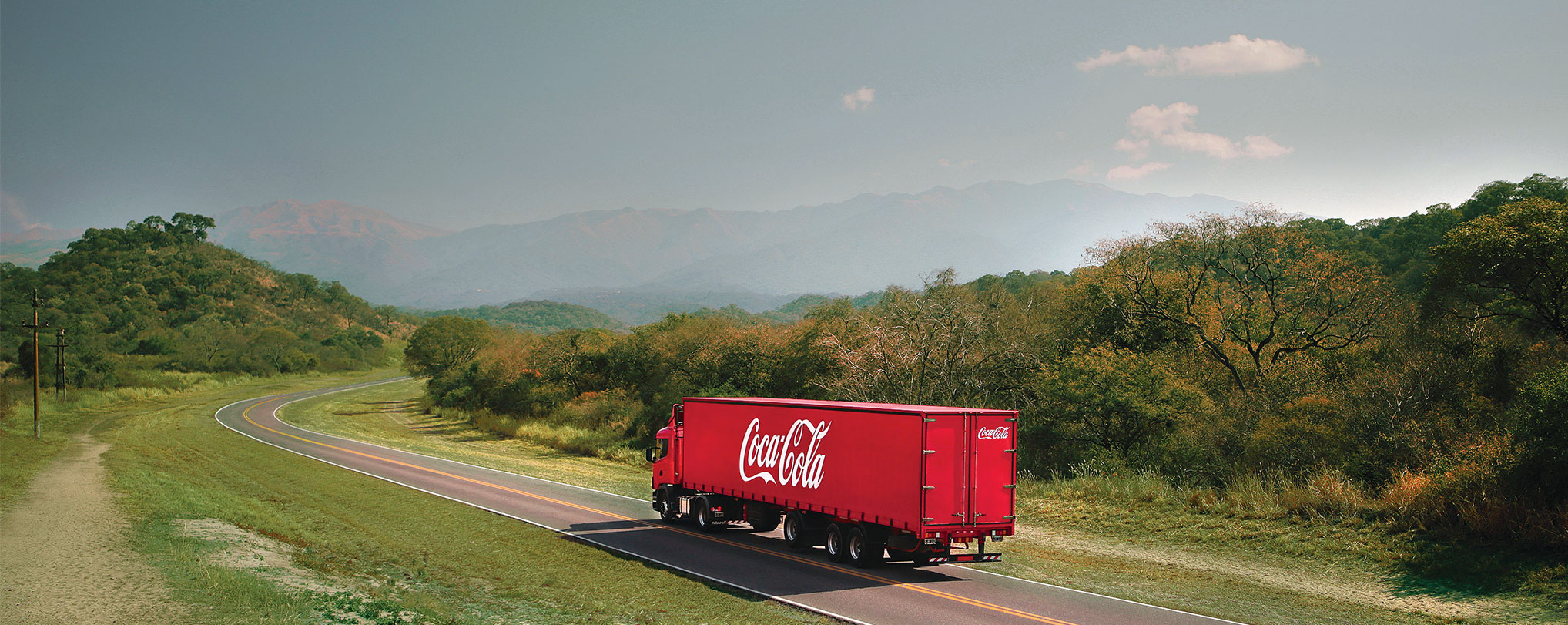 The Coca-Cola System