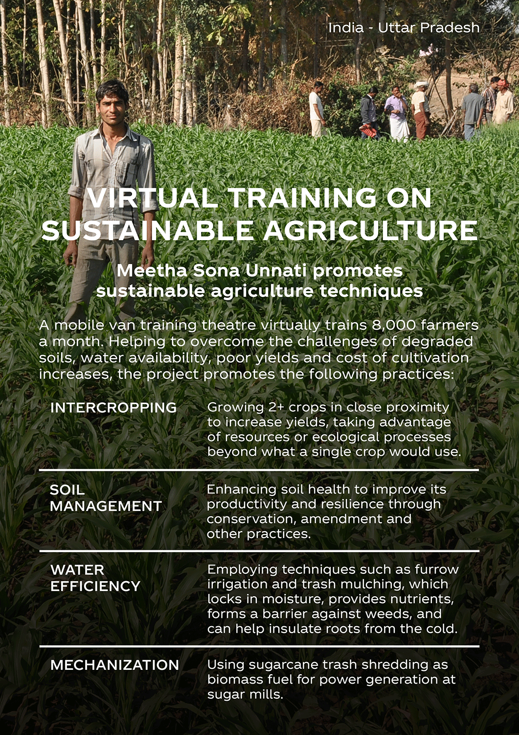 Sustainable Agriculture The Coca Cola Company sustainable-agriculture-the-coca-cola-company